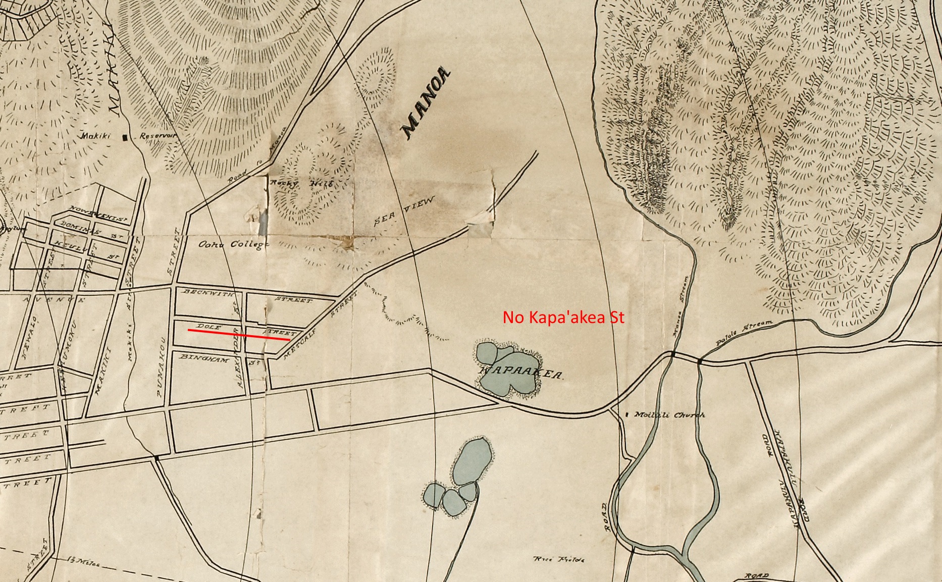 Dole Street | Images of Old Hawaiʻi