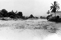 Tsunami in Hawai‘i | Images of Old Hawaiʻi