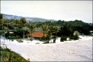 Tsunami in Hawai‘i | Images of Old Hawaiʻi
