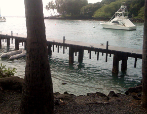 Tsunami in Hawai‘i | Images of Old Hawaiʻi