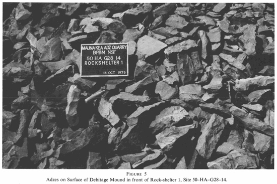 Kakoʻi | Images of Old Hawaiʻi