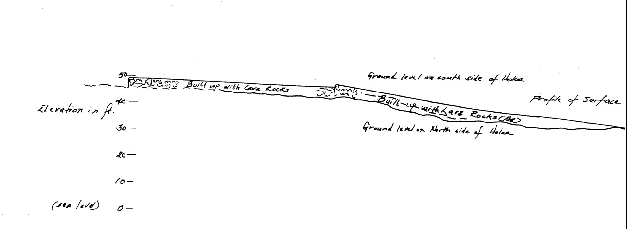 Ahole Hōlua | Images of Old Hawaiʻi