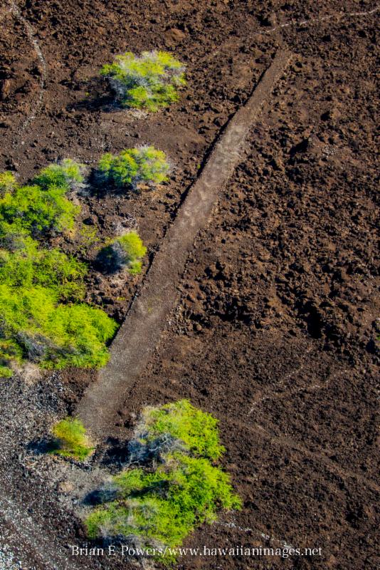 Ahole Hōlua | Images of Old Hawaiʻi