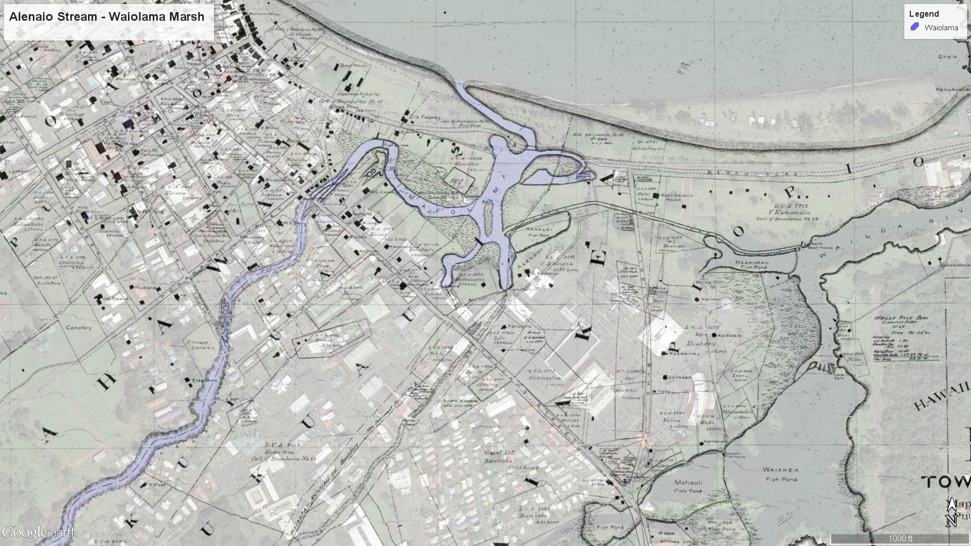 Waiolama | Images of Old Hawaiʻi