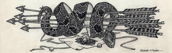 Arrows and Snake Skin | Images of Old Hawaiʻi