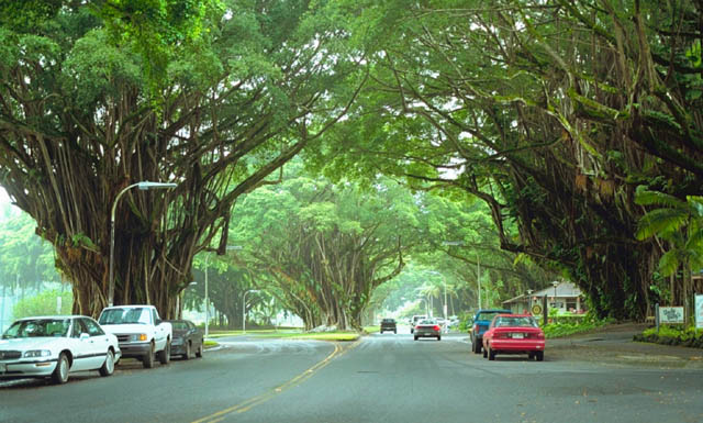 ‘Hilo Walk of Fame’ | Images of Old Hawaiʻi