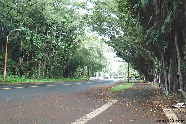 ‘Hilo Walk of Fame’ | Images of Old Hawaiʻi