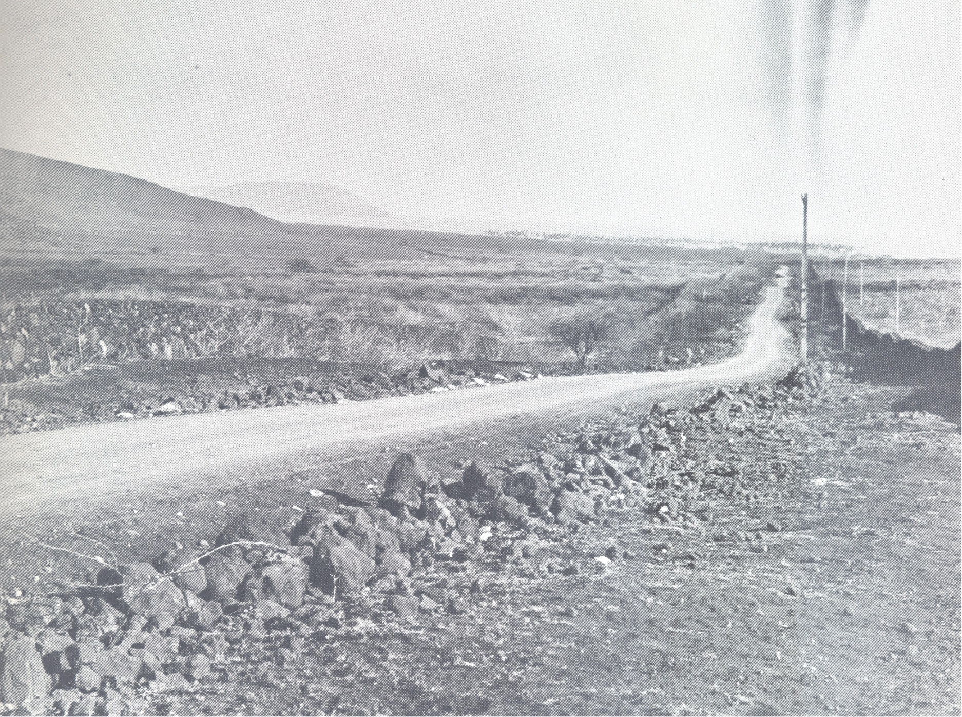 Big W | Images of Old Hawaiʻi