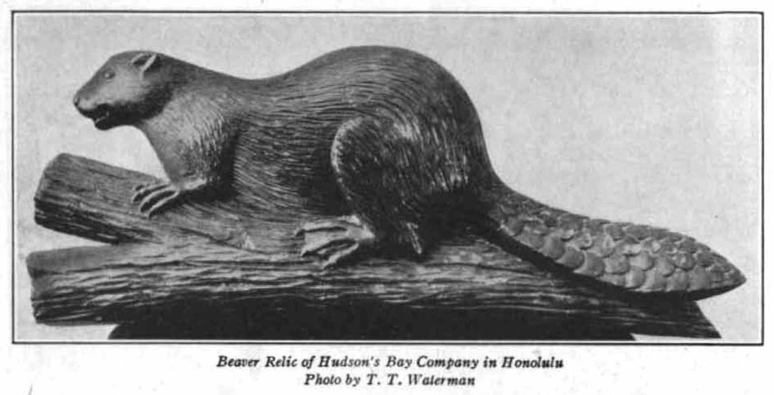 The Beaver Block | Images of Old Hawaiʻi