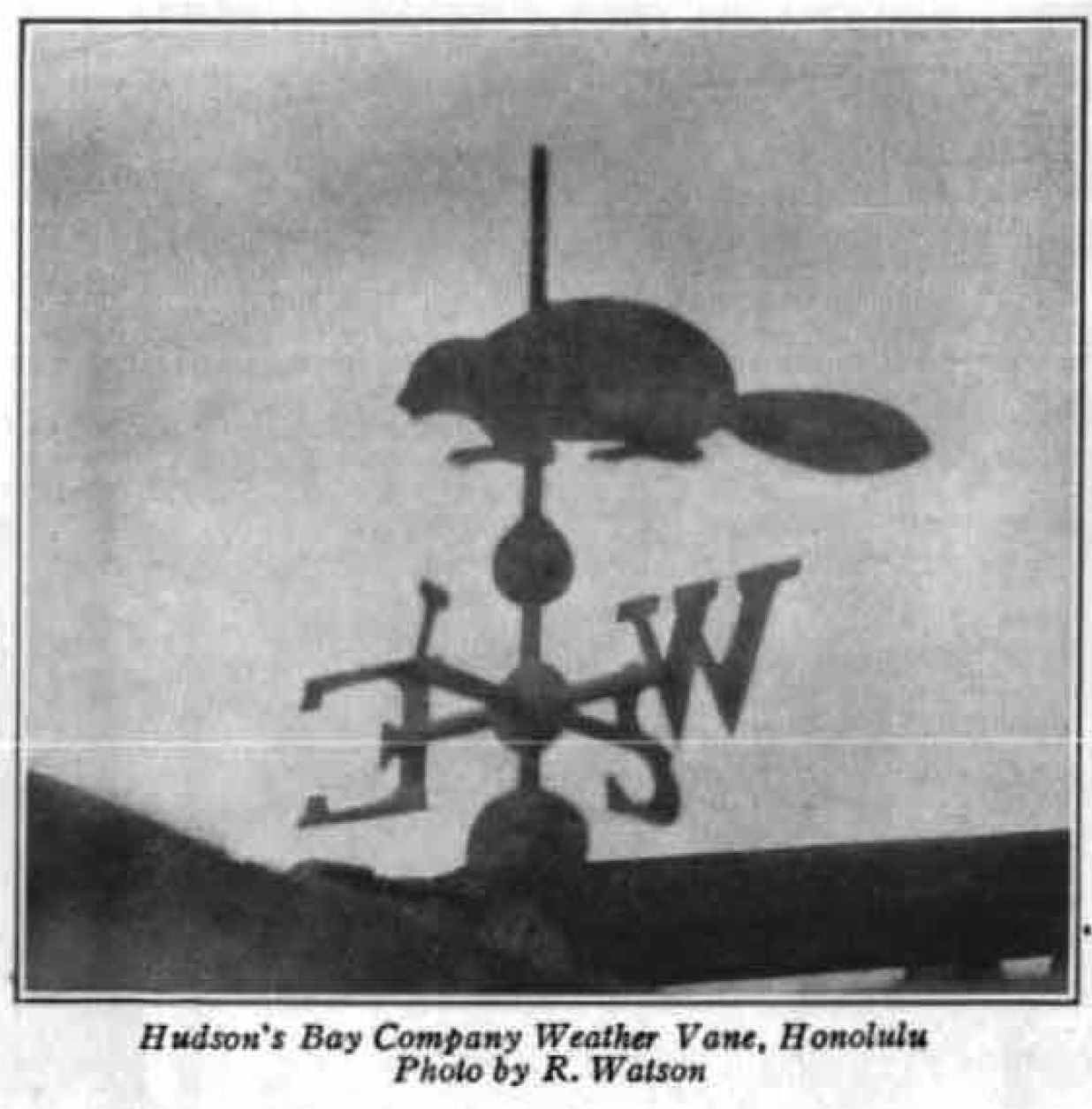 The Beaver Block | Images of Old Hawaiʻi