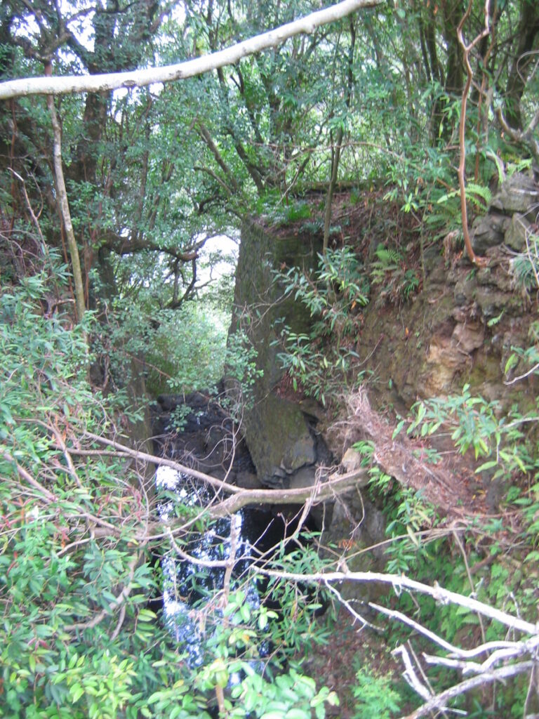 Hilo Railroad Company – Hawaiian Consolidated Railway | Images of Old ...