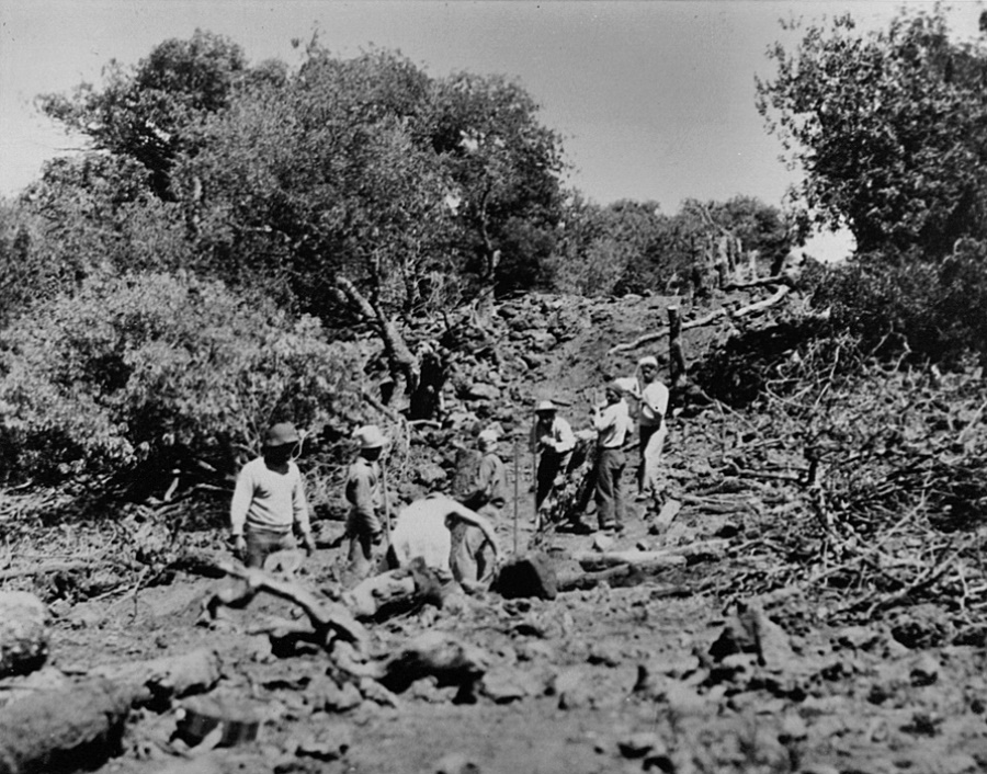 The Big Fence on the Big Island | Images of Old Hawaiʻi