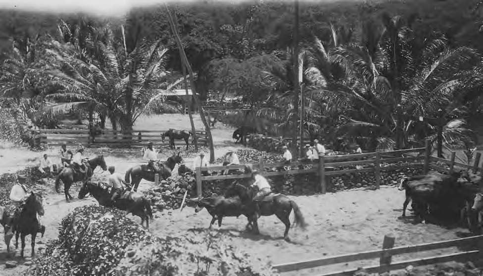 Nāpō‘opo‘o | Images of Old Hawaiʻi