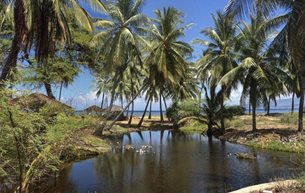 Club Lanai | Images of Old Hawaiʻi