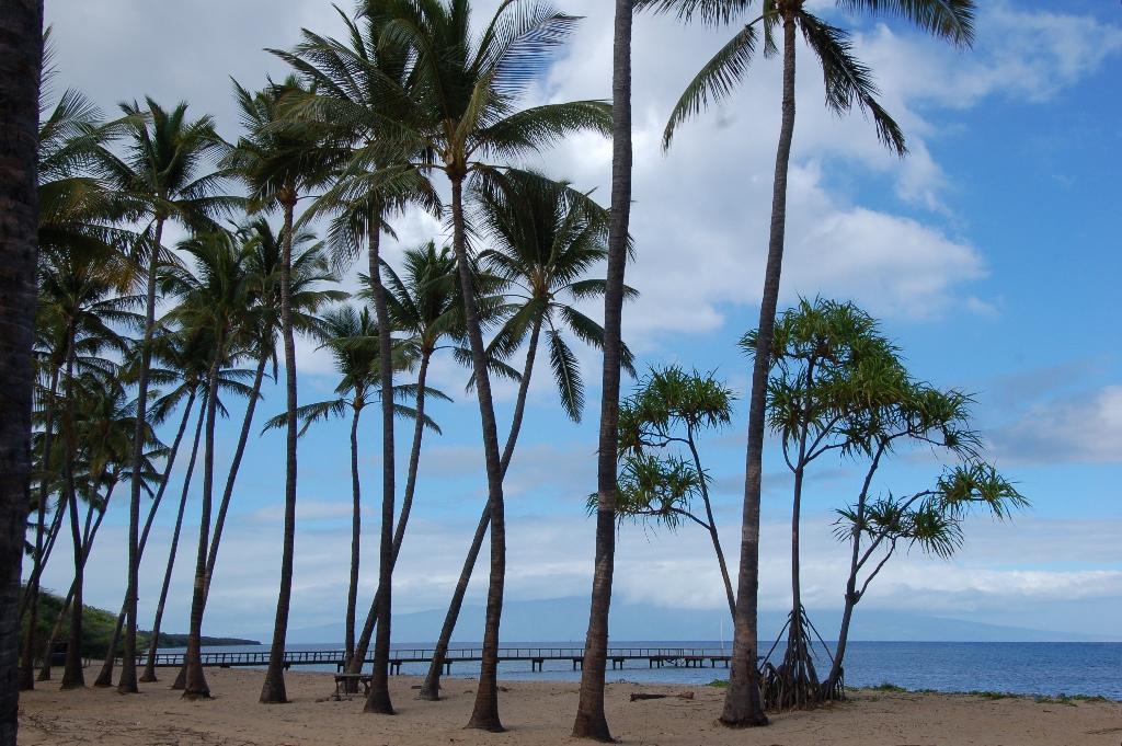 Club Lanai | Images of Old Hawaiʻi