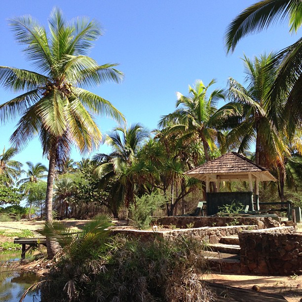 Club Lanai | Images of Old Hawaiʻi