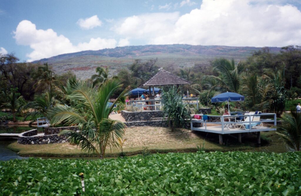 Club Lanai | Images of Old Hawaiʻi