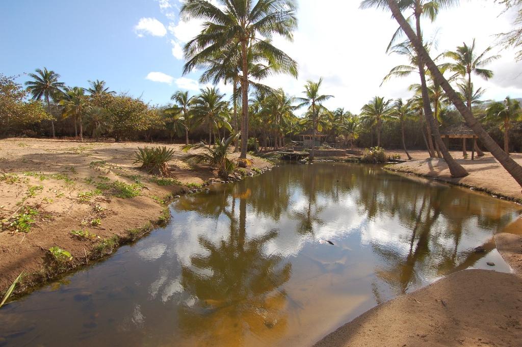 Club Lanai | Images of Old Hawaiʻi