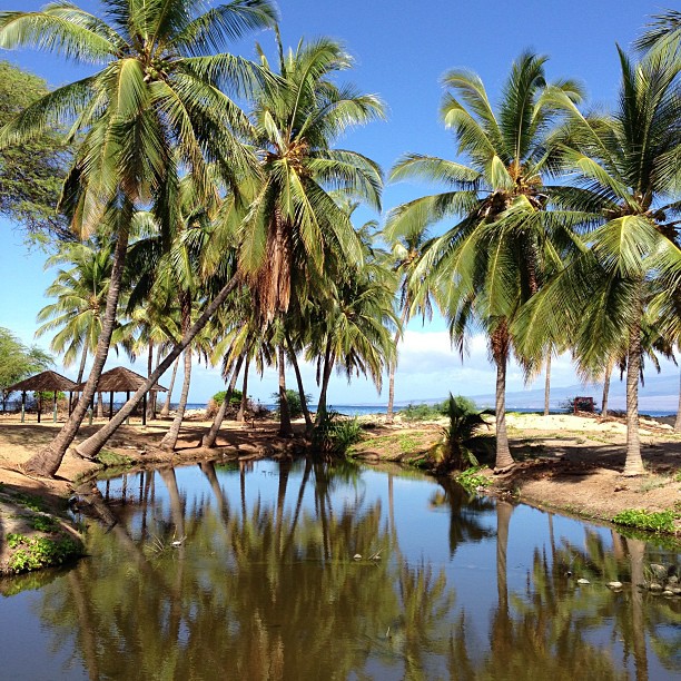 Club Lanai | Images of Old Hawaiʻi