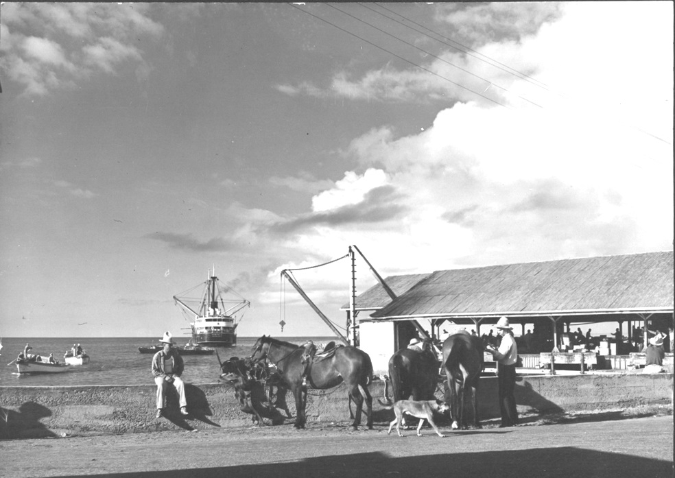 Kailua Wharf | Images of Old Hawaiʻi