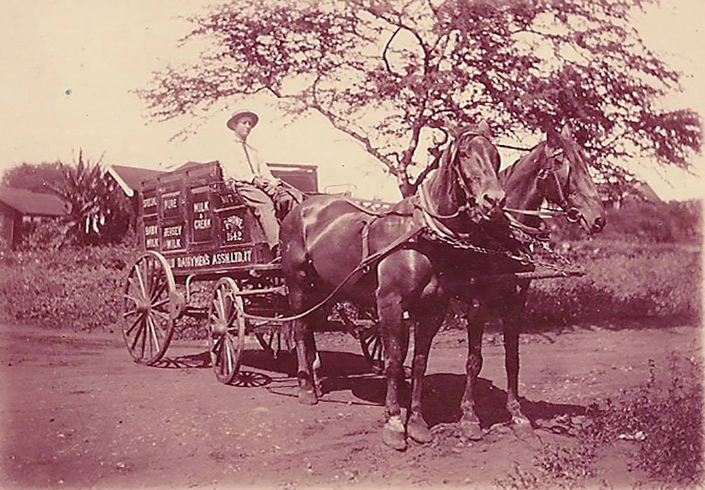 Lani Moo | Images of Old Hawaiʻi