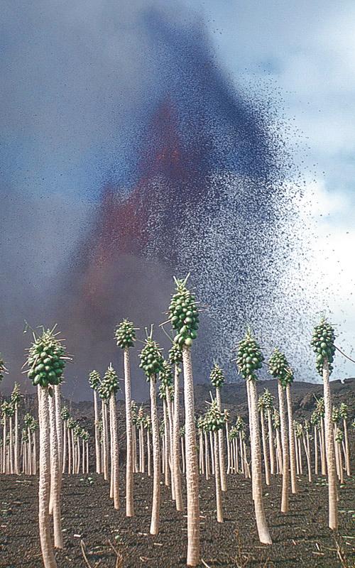 1960 Kapoho Eruption | Images of Old Hawaiʻi