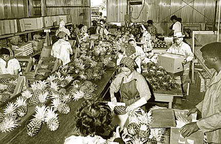 Cannery | Images of Old Hawaiʻi