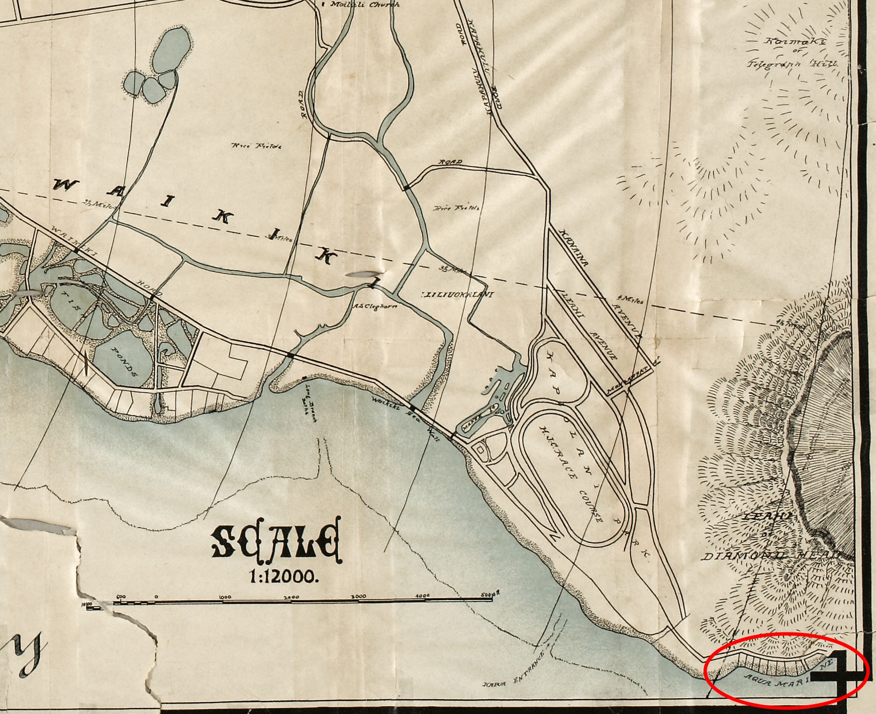 Aqua Marine | Images of Old Hawaiʻi