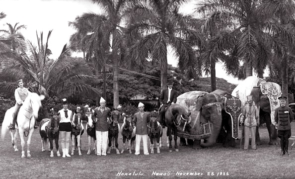 EK_Fernandez_Circus-1936-SB-594 | Images of Old Hawaiʻi