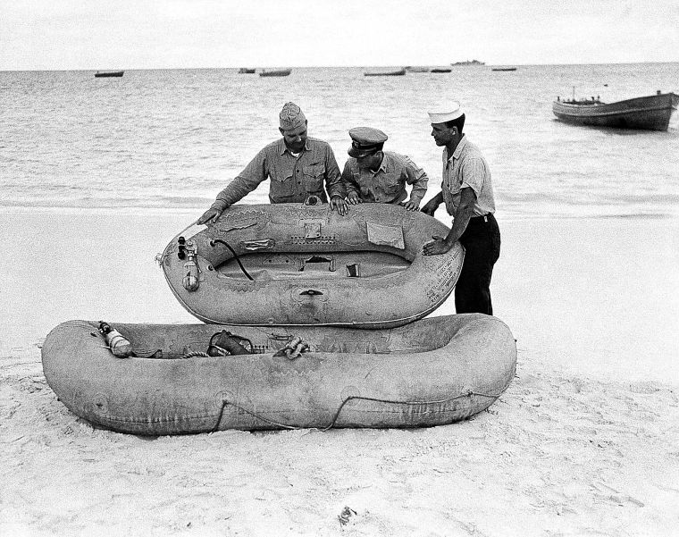 Seagull | Images of Old Hawaiʻi