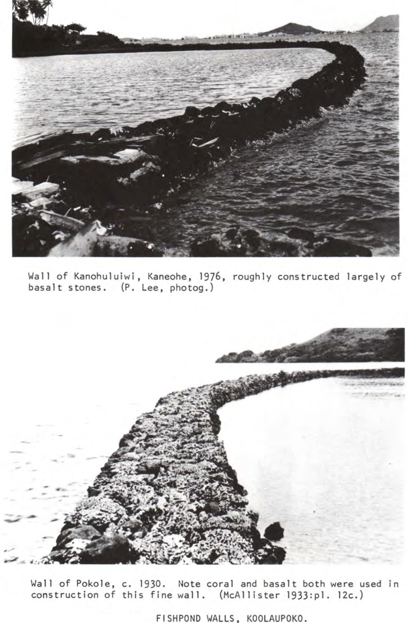 Loko | Images of Old Hawaiʻi