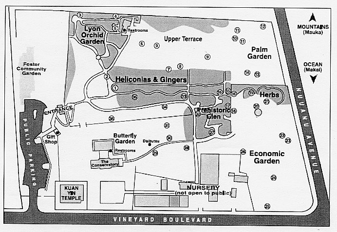 Thomas R Foster | Images of Old Hawaiʻi