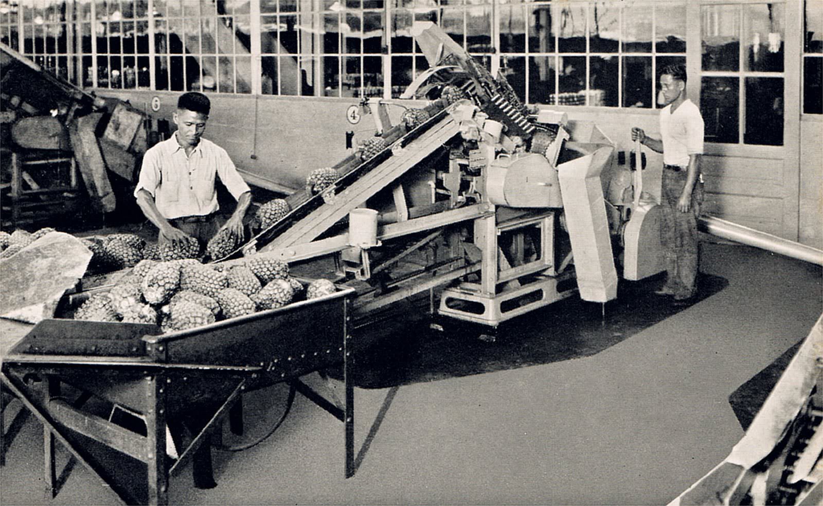 Cannery | Images of Old Hawaiʻi