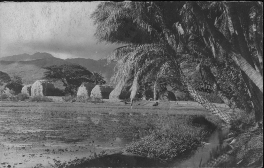Hale Pili | Images of Old Hawaiʻi