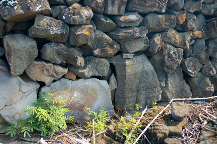 Ka Pā Nui o Kuakini | Images of Old Hawaiʻi