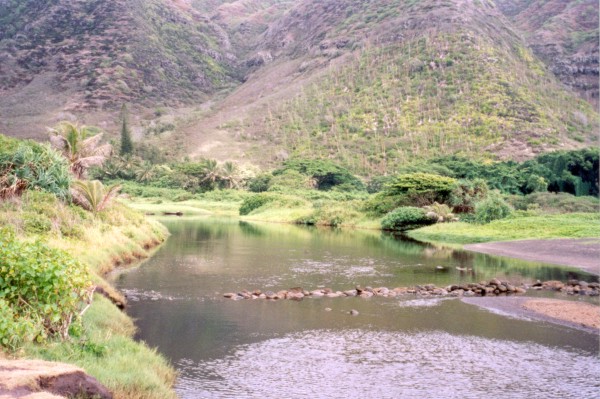 Hālawa | Images of Old Hawaiʻi