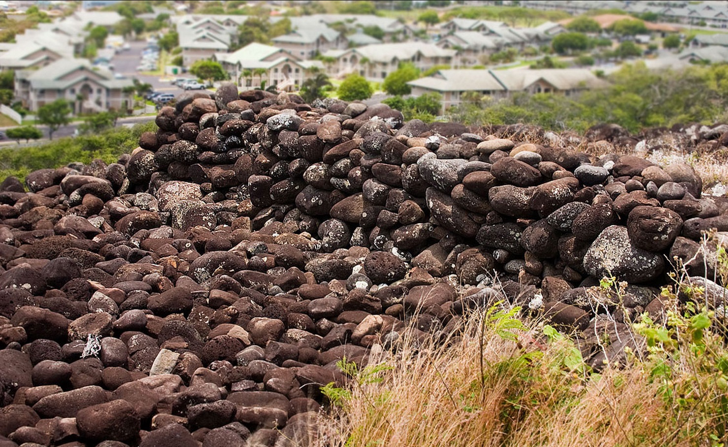 Halekiʻi and Pihana Heiau | Images of Old Hawaiʻi