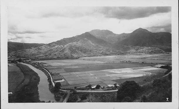 Haraguchi Rice Mill | Images of Old Hawaiʻi