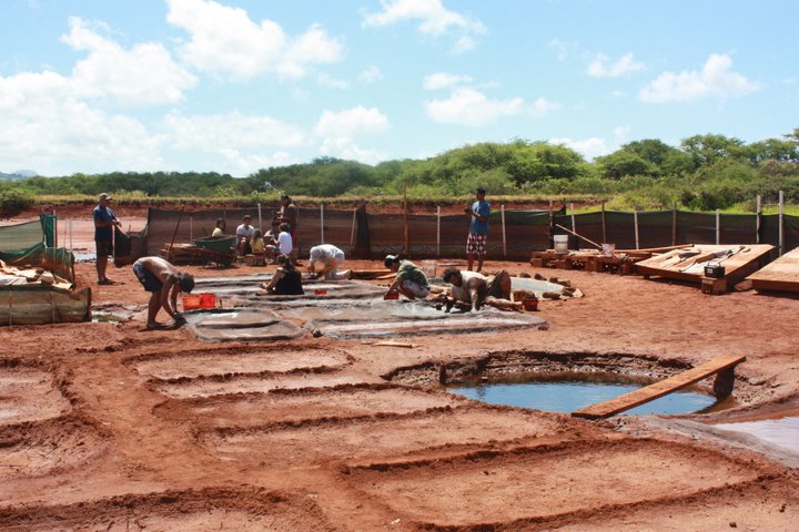 Hanapepe Salt Ponds | Images of Old Hawaiʻi
