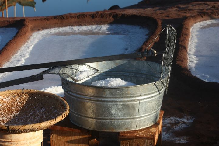Hanapepe Salt Ponds | Images of Old Hawaiʻi