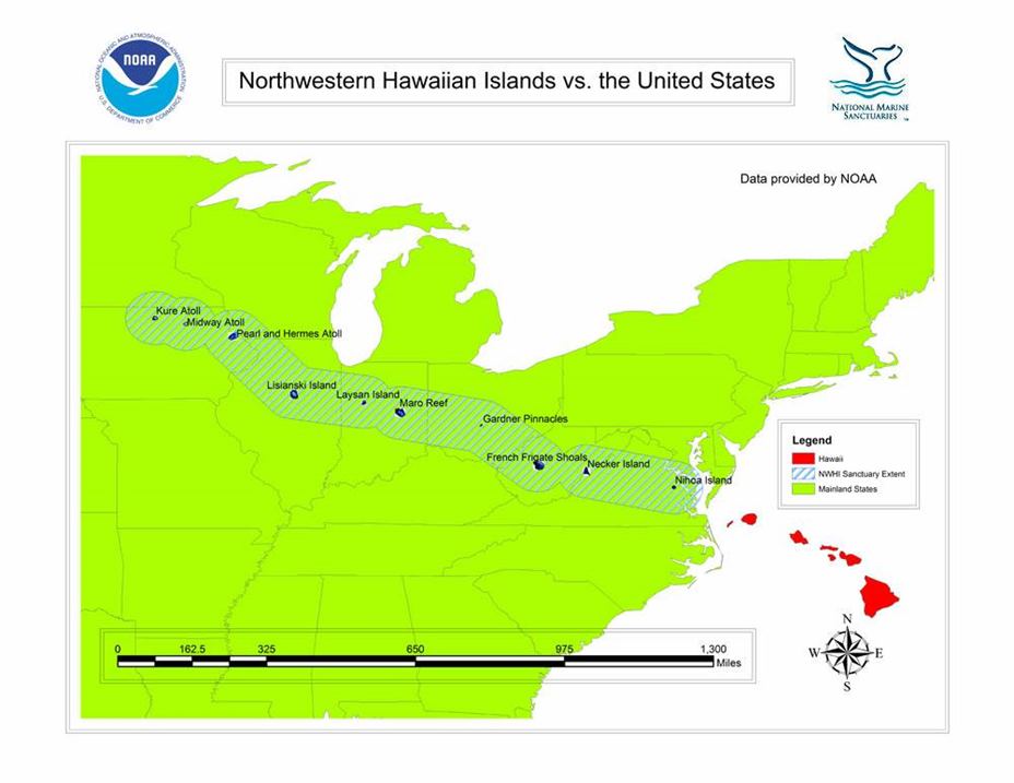 Size Matters | Images of Old Hawaiʻi