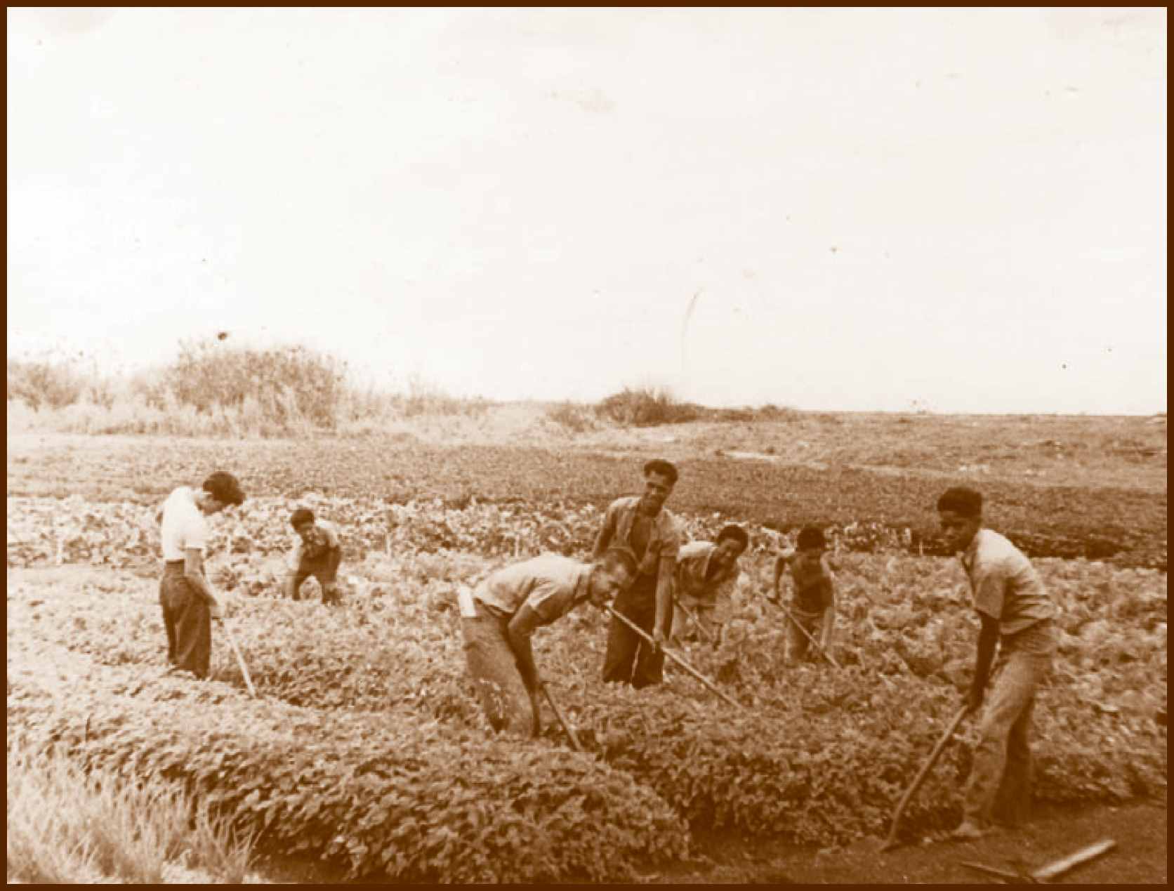 Hawaii Youth Correctional_Facility-garden-(OYS-HYCF) | Images of Old ...