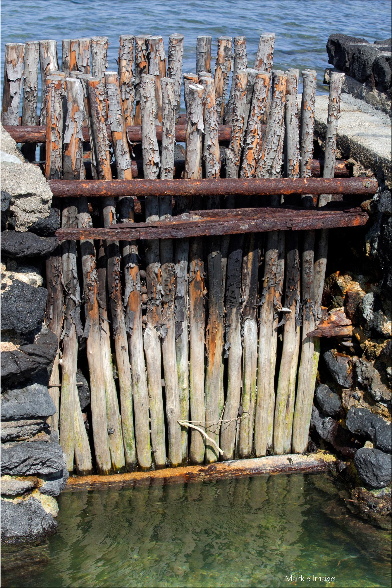 Loko | Images of Old Hawaiʻi
