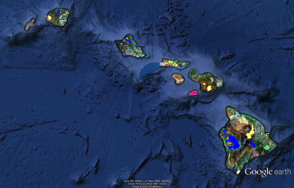 The New “Big 5” | Images of Old Hawaiʻi