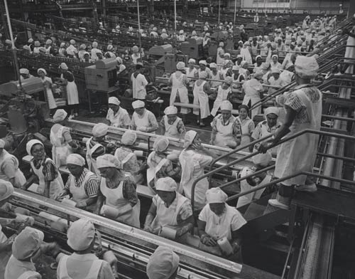 Cannery | Images of Old Hawaiʻi