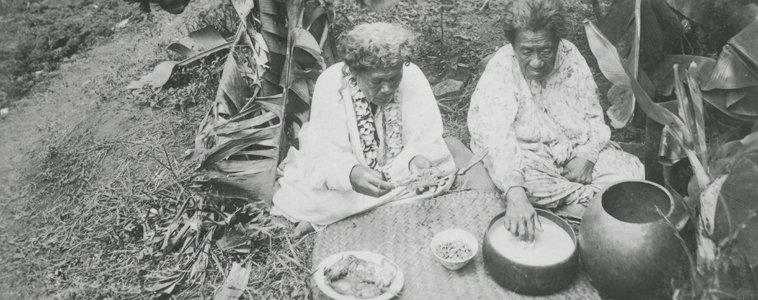 Poi Prohibited | Images of Old Hawaiʻi