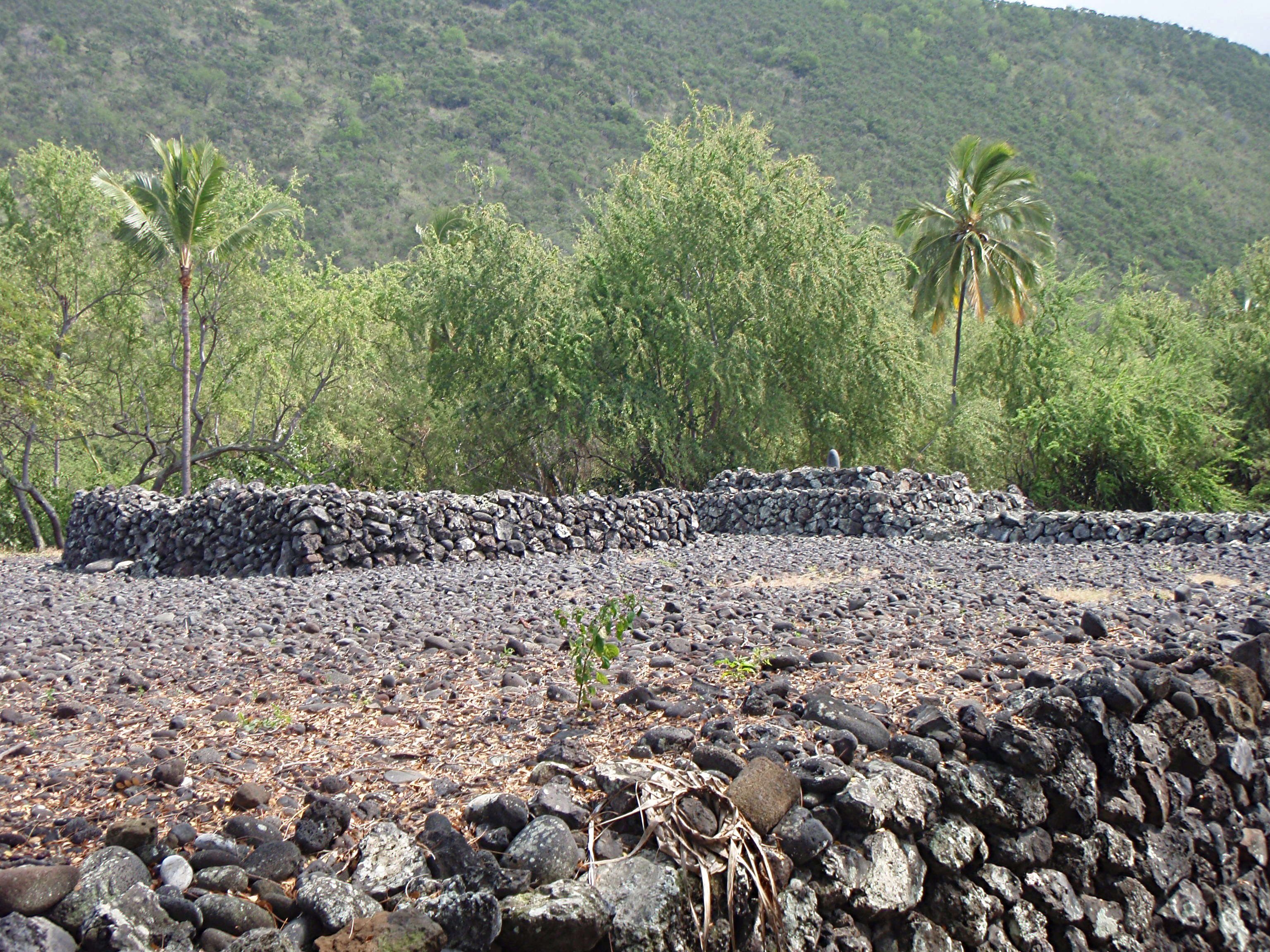 Hiki‘au Heiau | Images of Old Hawaiʻi