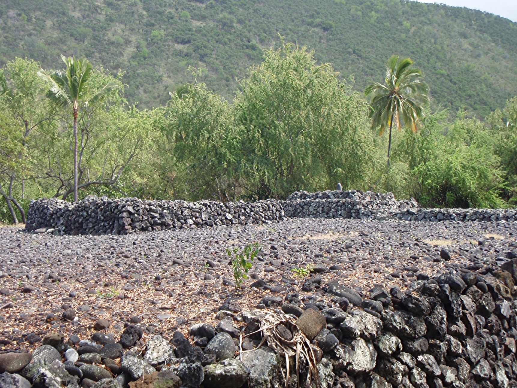 Evolving Heiau Construction | Images of Old Hawaiʻi