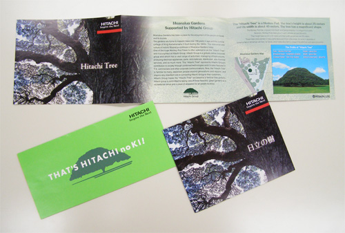 Hitachi Tree | Images of Old Hawaiʻi