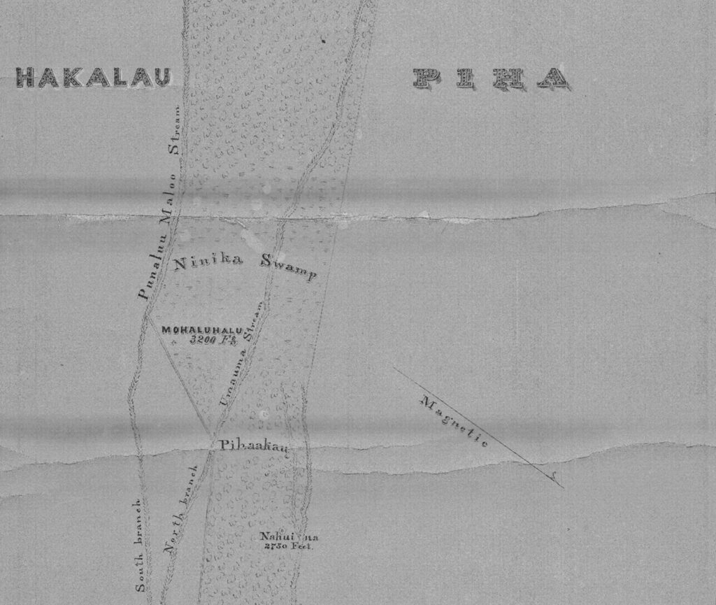 Ninika | Images of Old Hawaiʻi